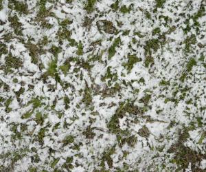 ground textures - Texturelib